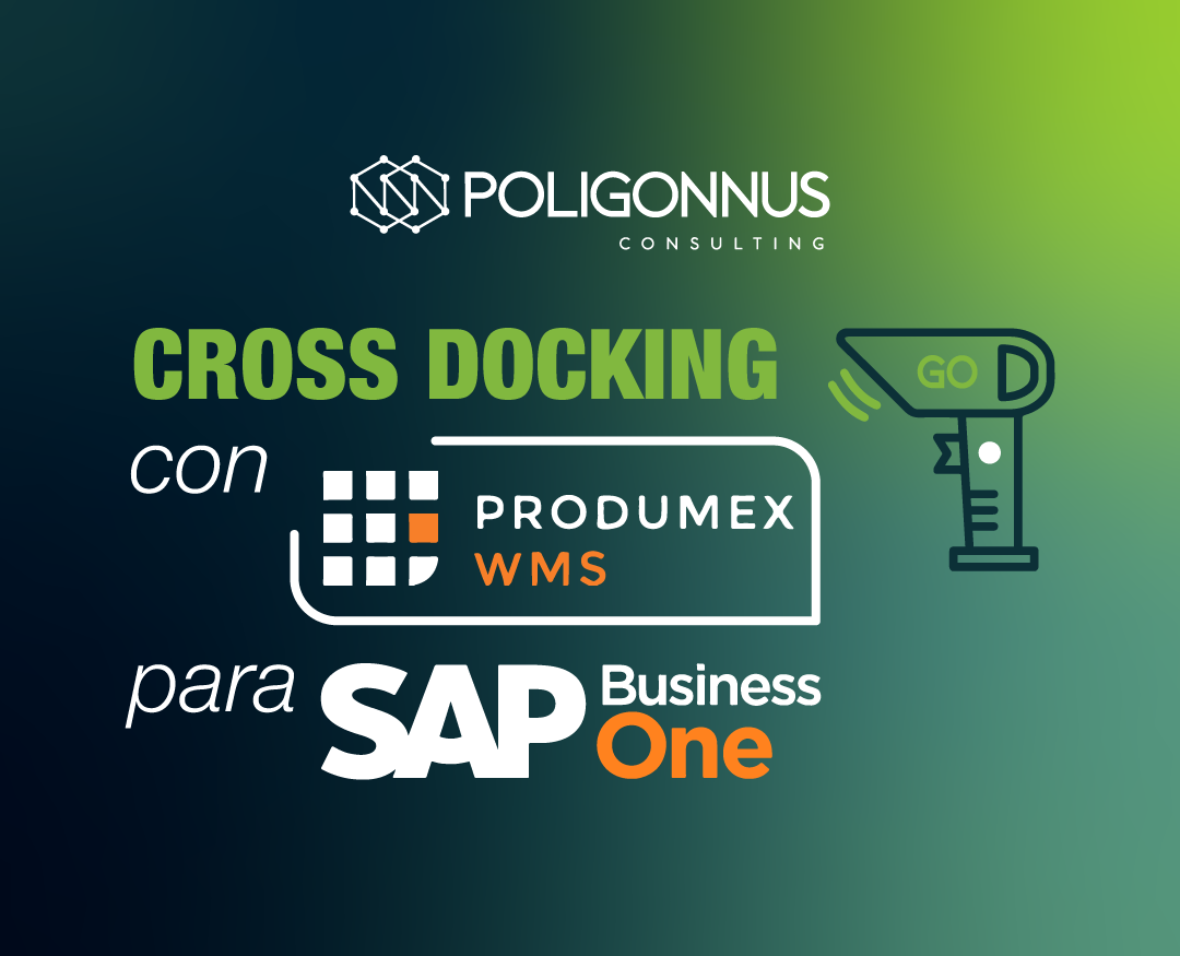 CROSSDOCKING PARA SAP BUSINESS ONE - Poligonnus